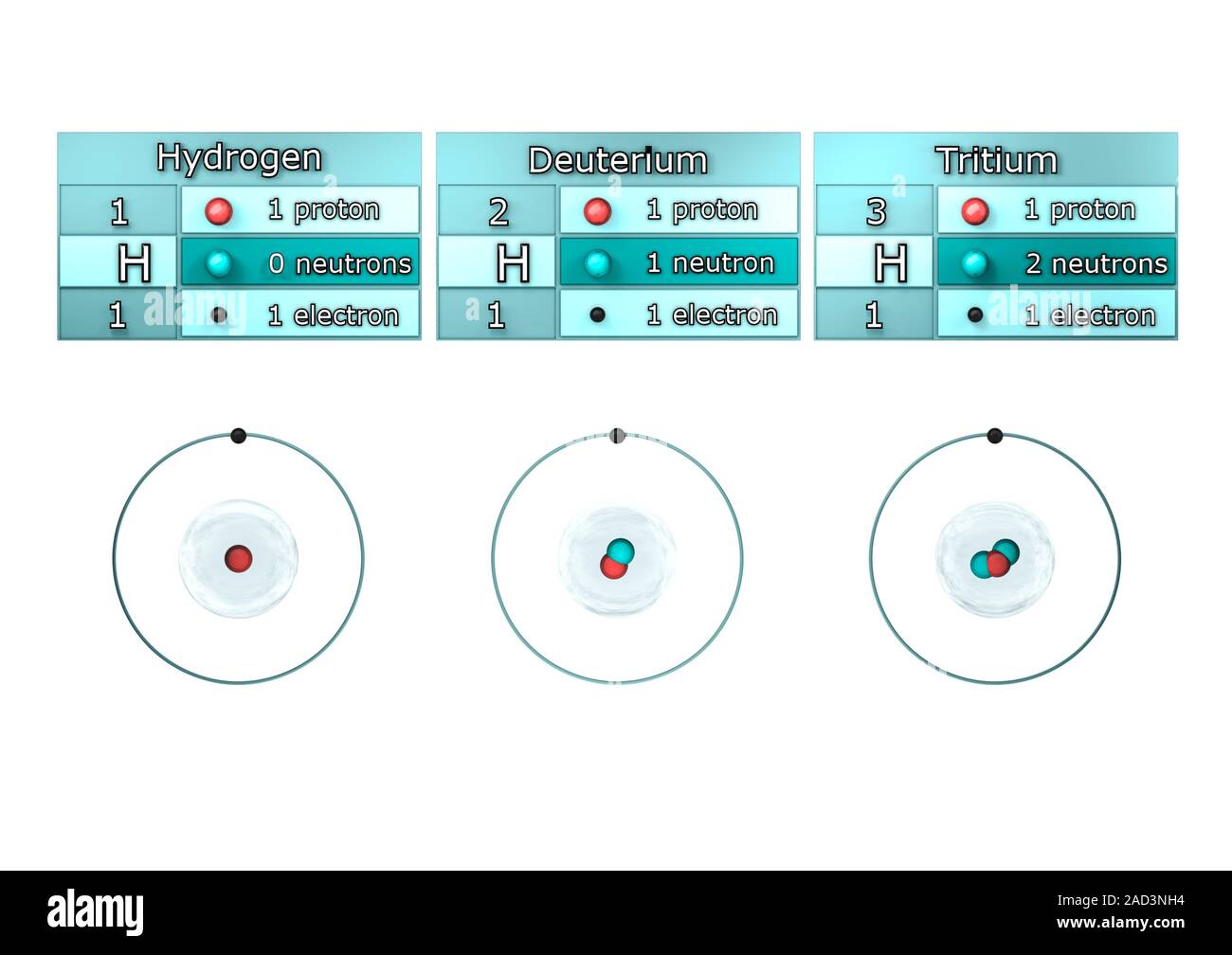 Isotopes of hydrogen. Illustration showing the isotopes of hydrogen ...