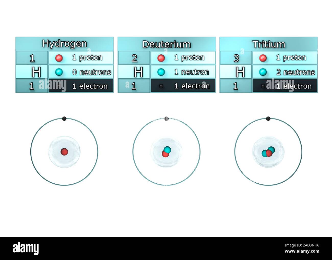 Isotopes of hydrogen. Illustration showing the isotopes of hydrogen ...