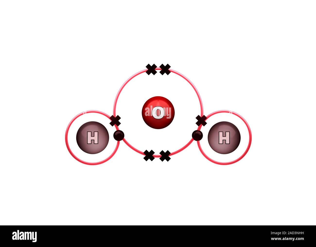 Bond formation in water molecule. Illustration of the sharing of ...