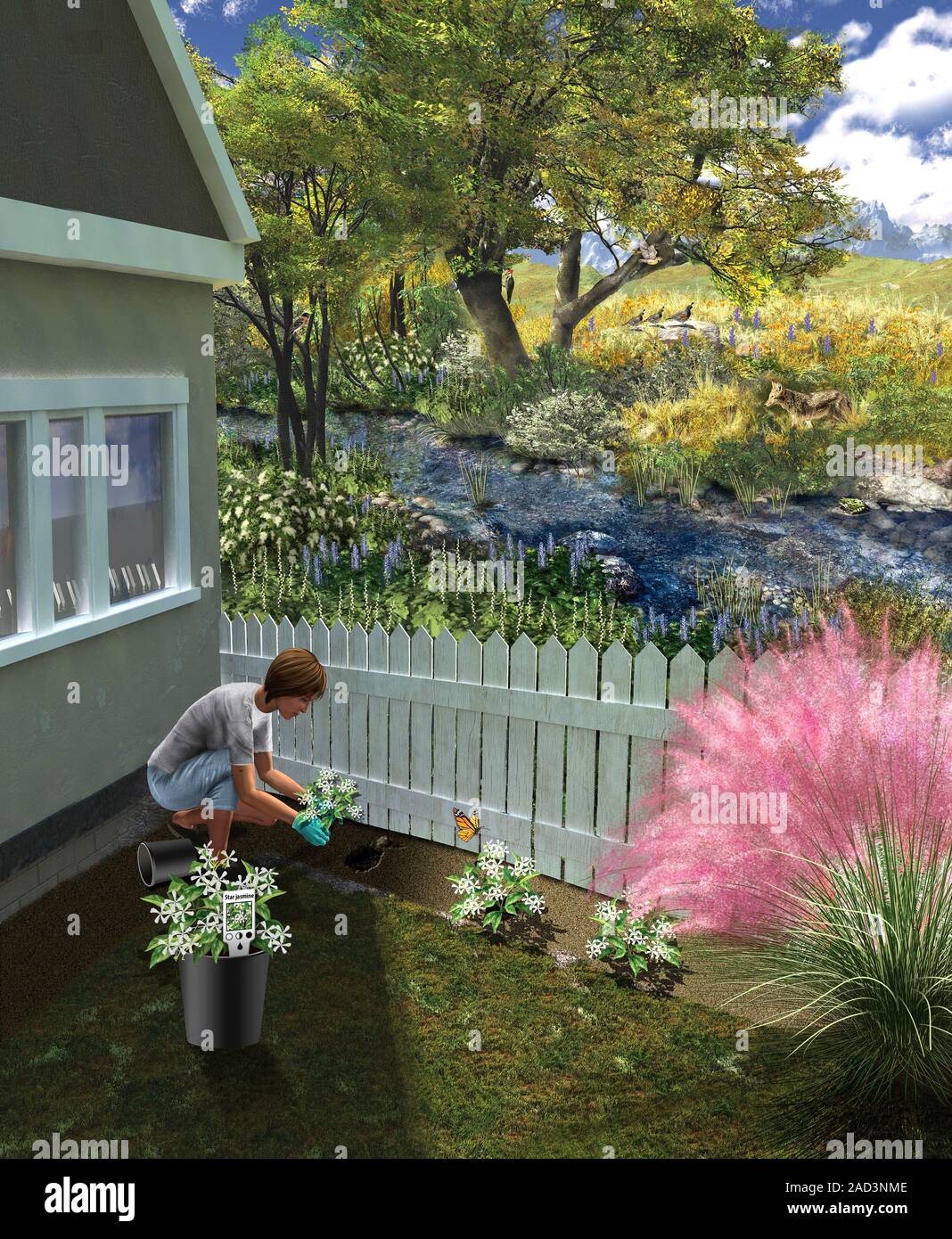 Non-invasive garden plants. Illustration of a gardener cultivating the ...