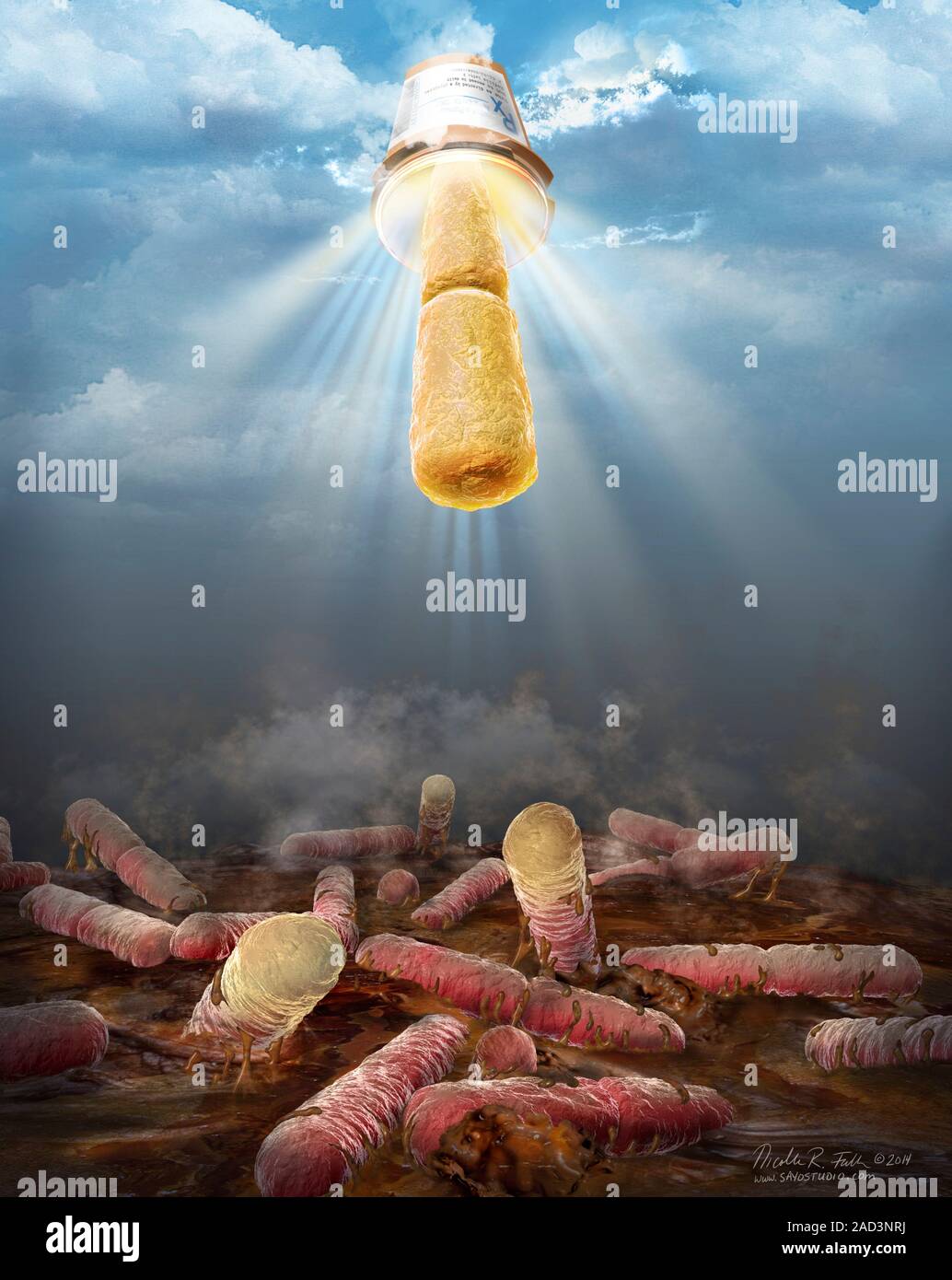 Bacterial biotechnology. Conceptual illustration of bacteria emerging ...