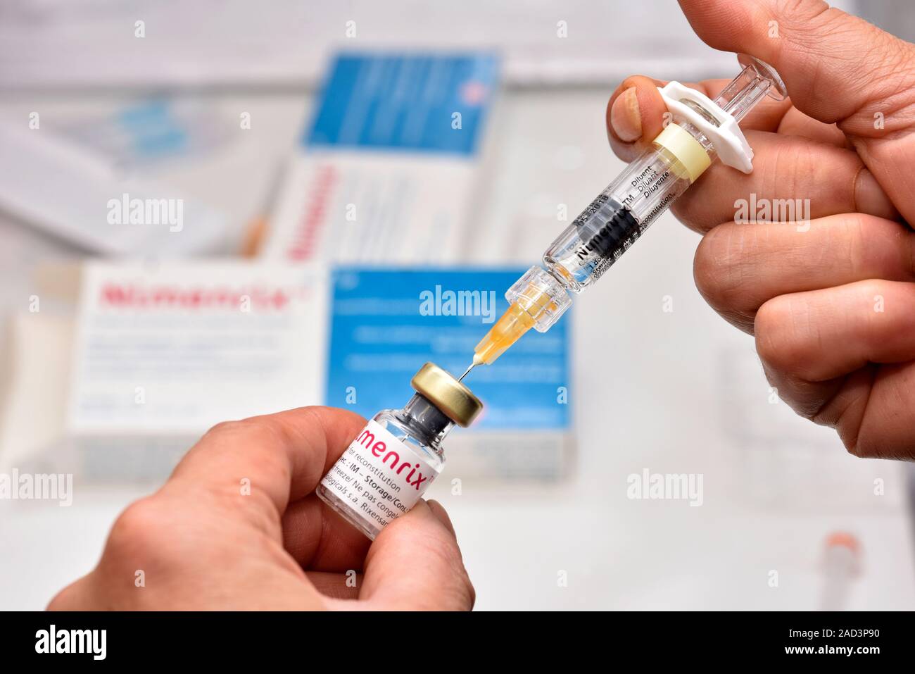 Meningitis vaccine. Person filling a syringe with Nimenrix vaccine for ...