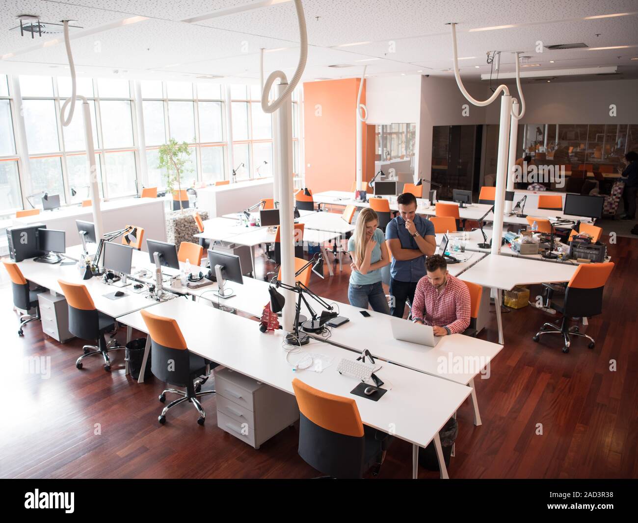 Group of young people employee workers with computer Stock Photo - Alamy