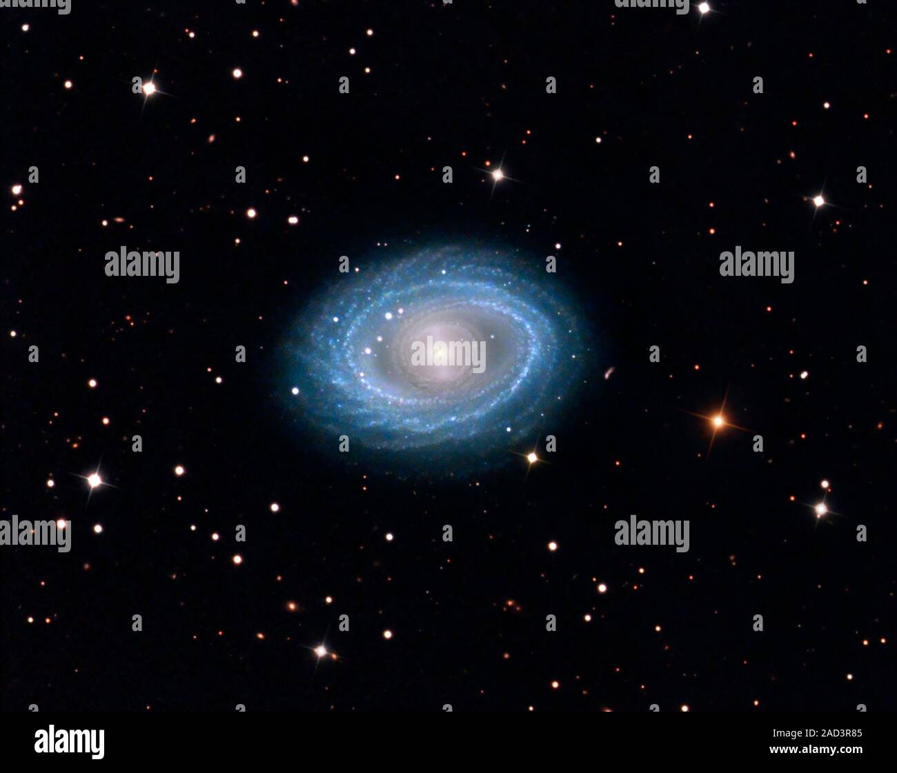 Spiral galaxy NGC 1398. This isolated barred spiral galaxy has thin ...