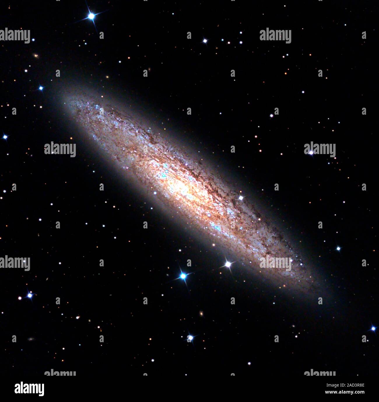 Sculptor Galaxy (NGC 253). This starburst galaxy has very vigorous star ...