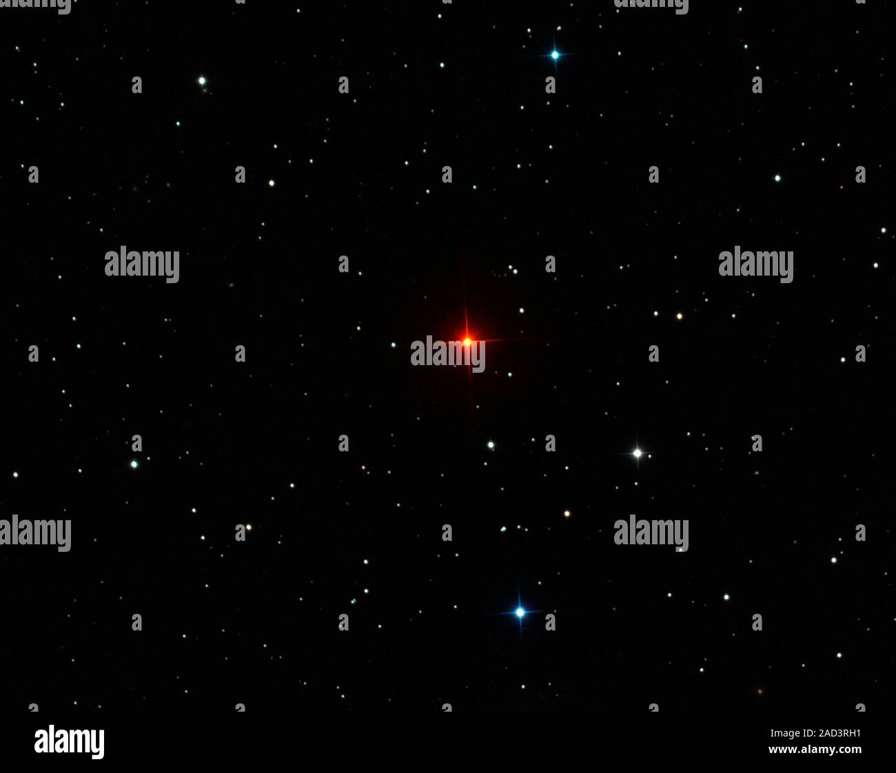 R Leporis variable star (centre, red). This star is a carbon star, with ...