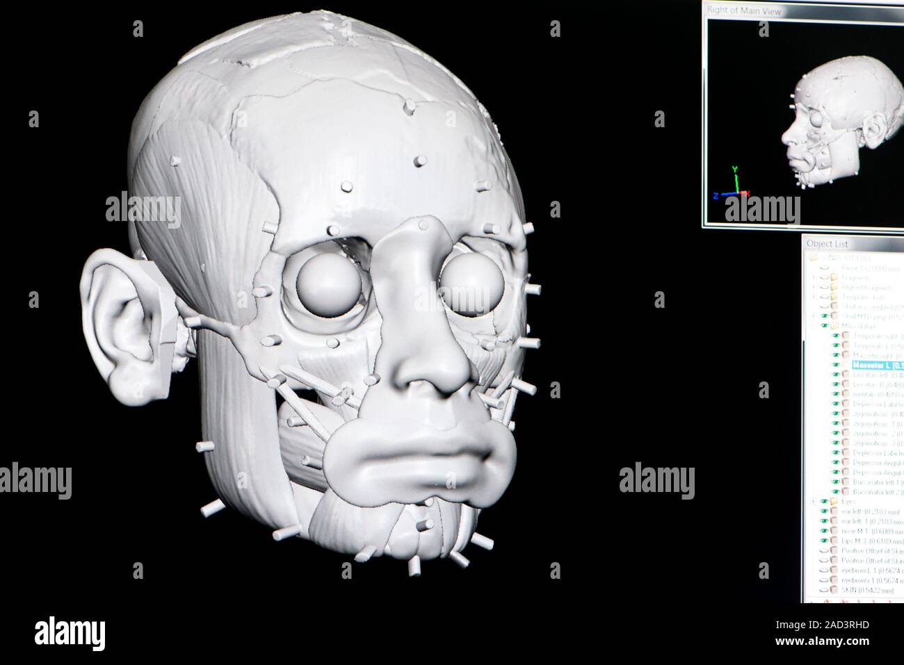 Digital forensic facial reconstruction. Digital 3D reconstruction of ...