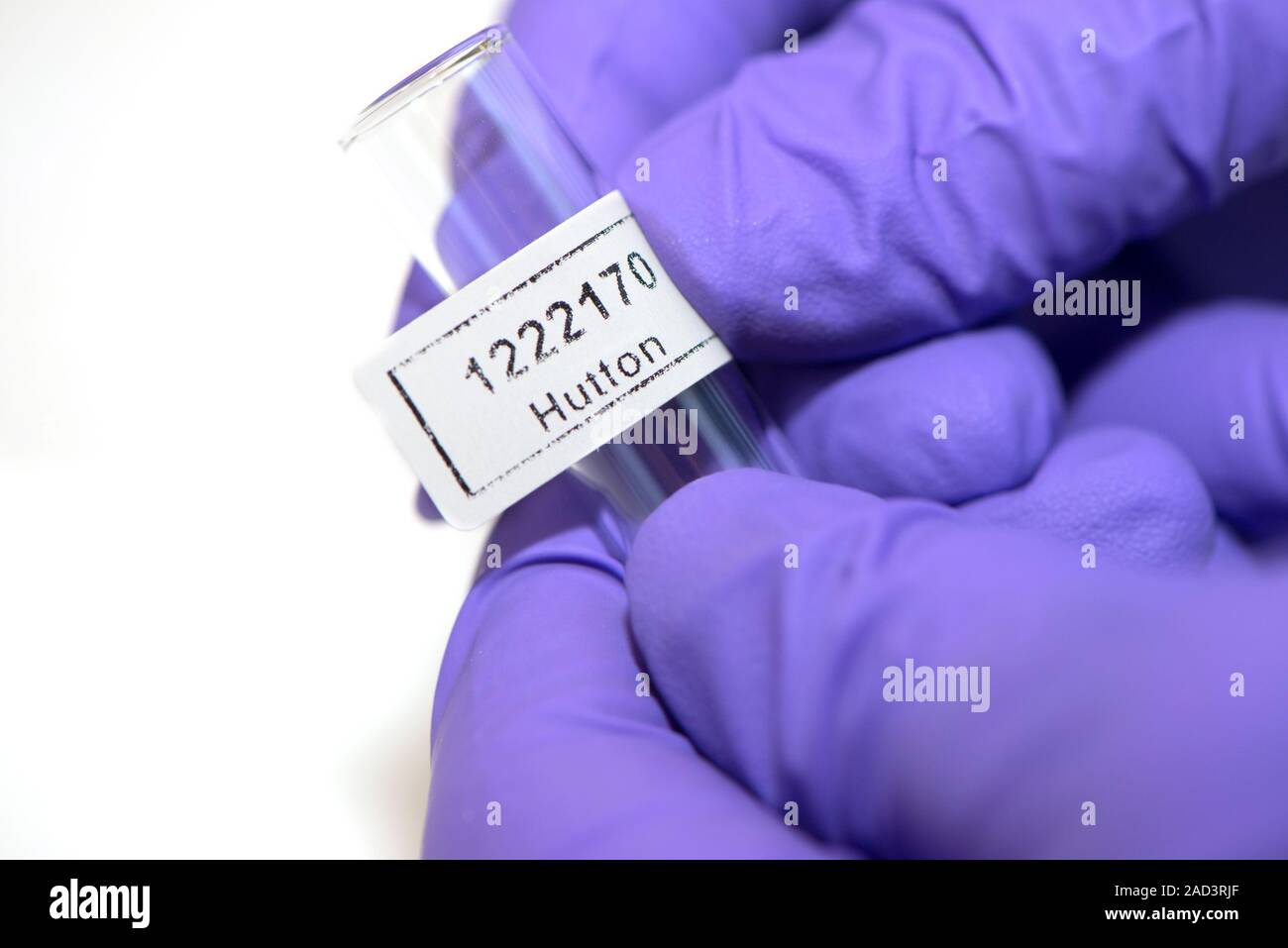 Collecting forensic evidence. Close-up of a forensic scientist ...