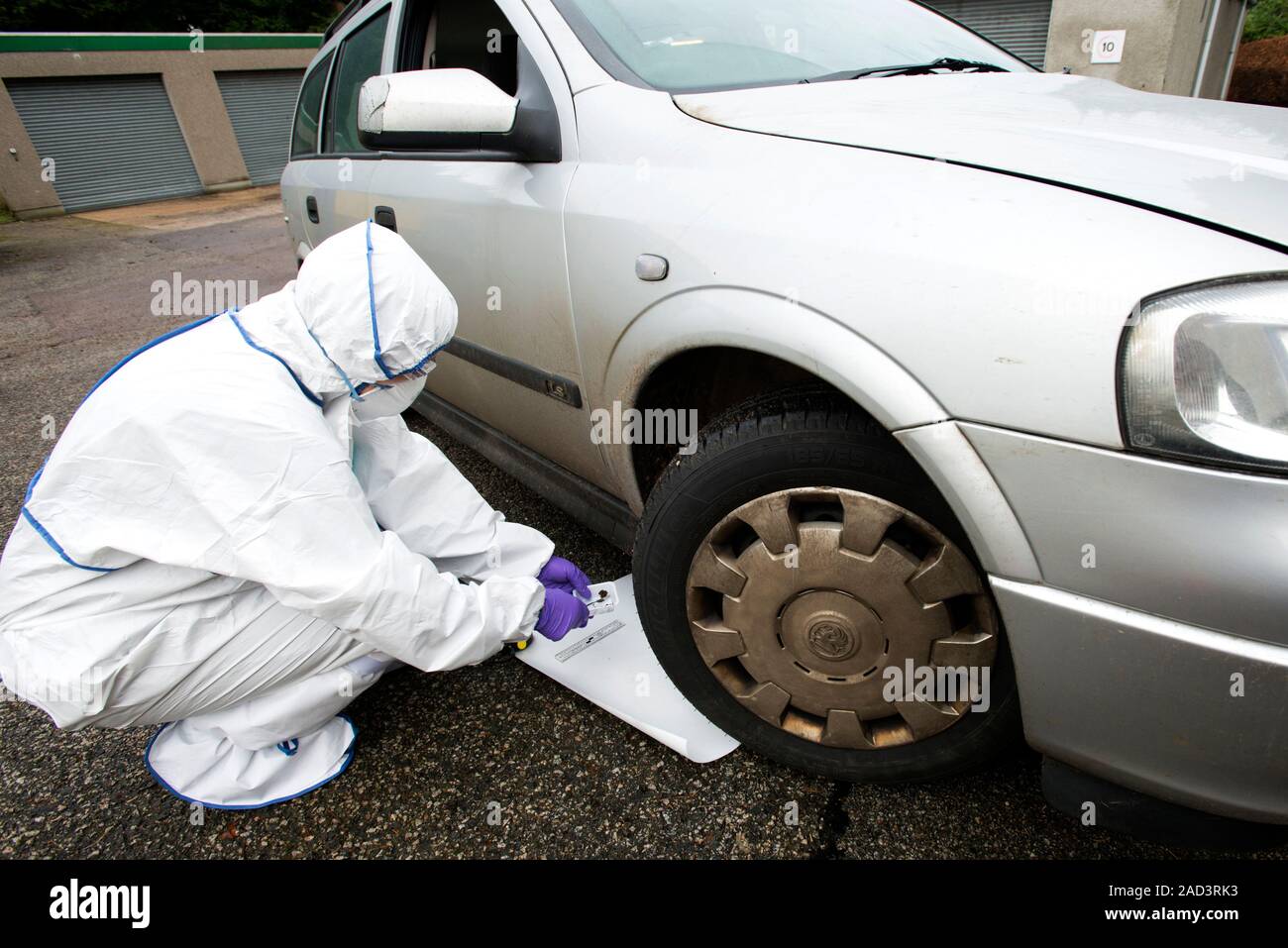 Collecting forensic evidence. Forensic scientist collecting a sample of ...