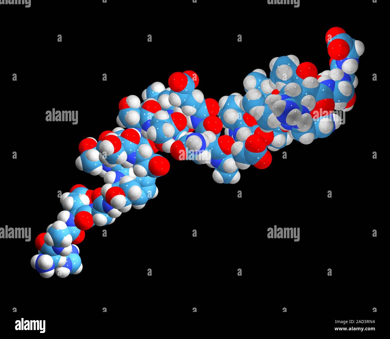 Liraglutide. Molecular model of the drug Liraglutide, used to treat ...