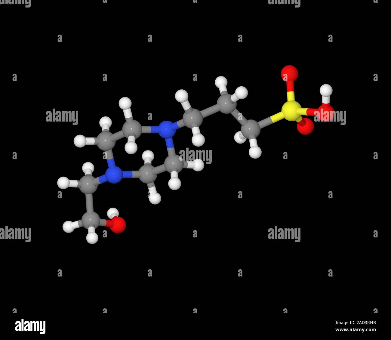 EPPS molecule. Computer illustration showing the structure of an EPPS ...
