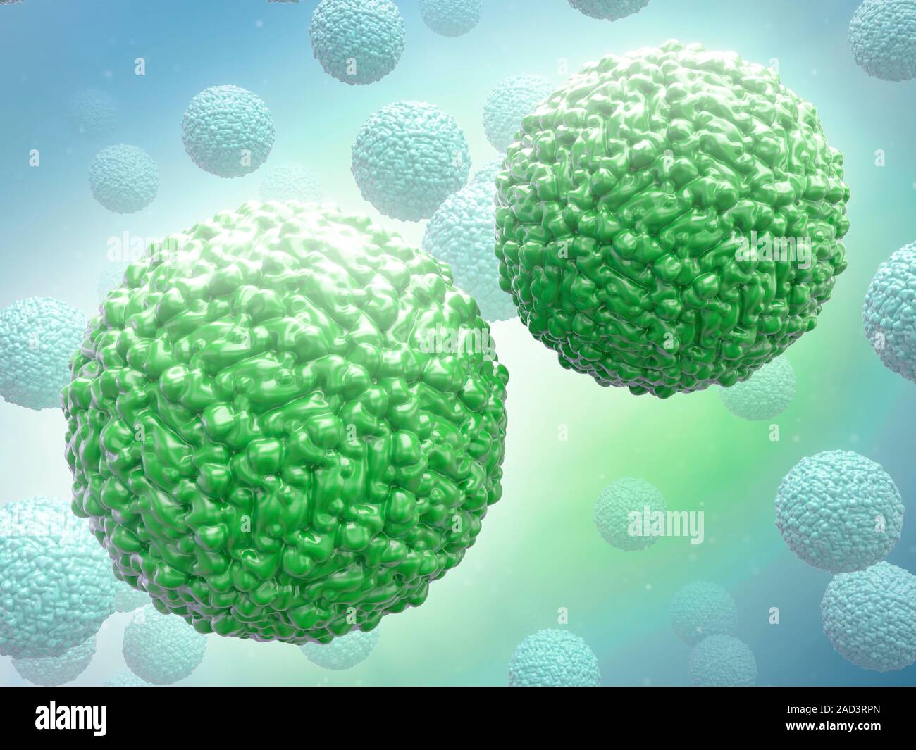 Zika virus particles, computer illustration. This is an RNA ...