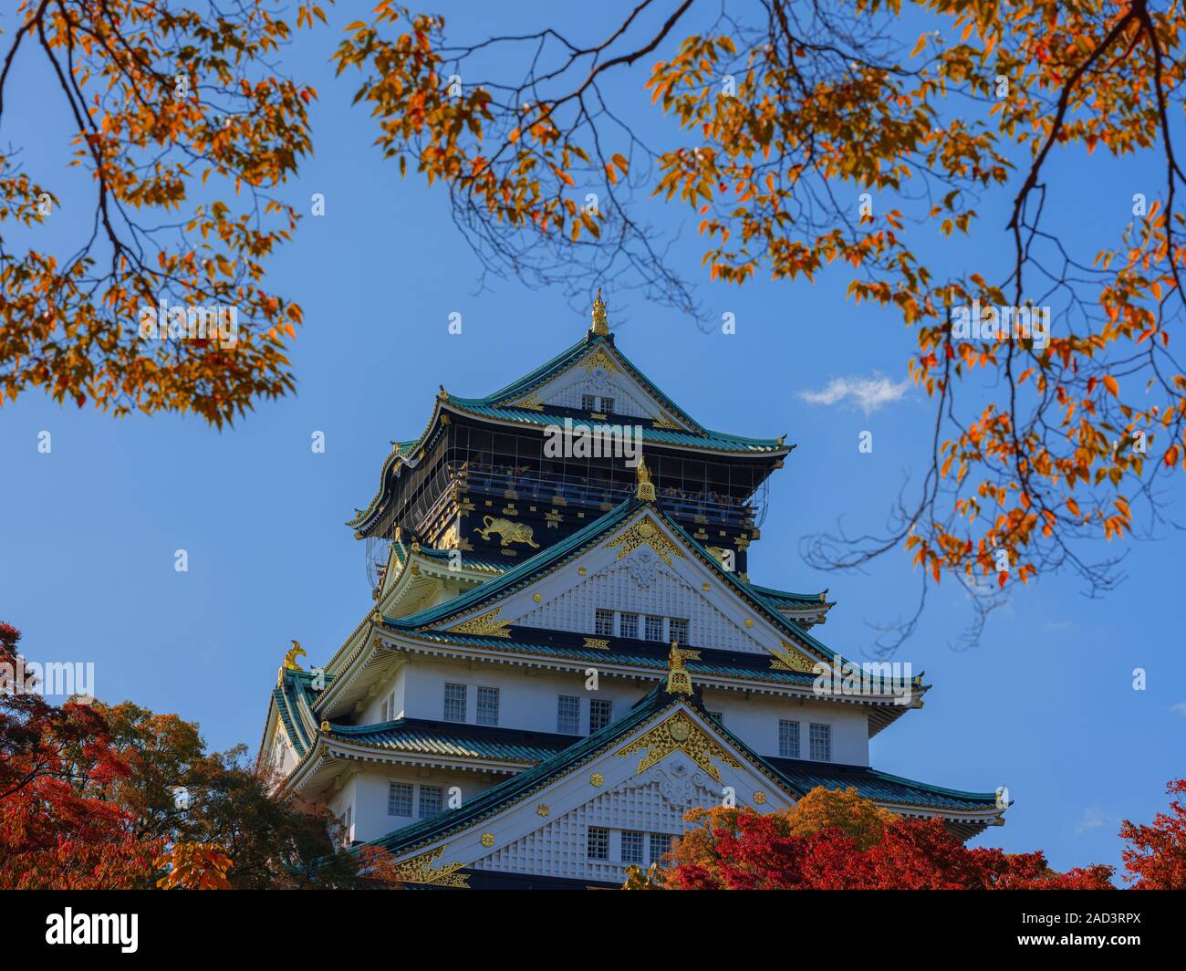 Osaka Castle park in Osaka, Japan in autumn Stock Photo - Alamy