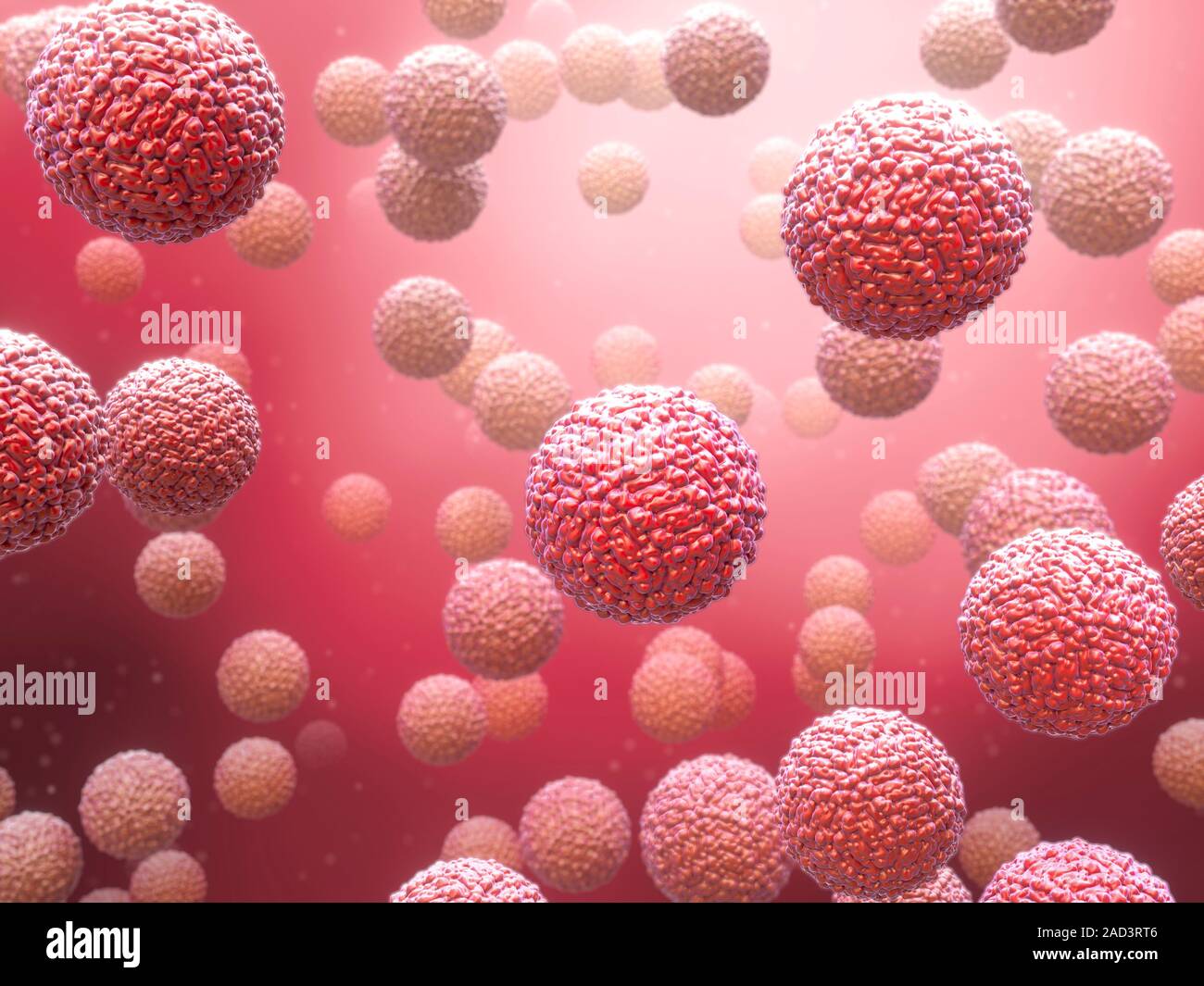 Zika virus particles, computer illustration. This is an RNA ...