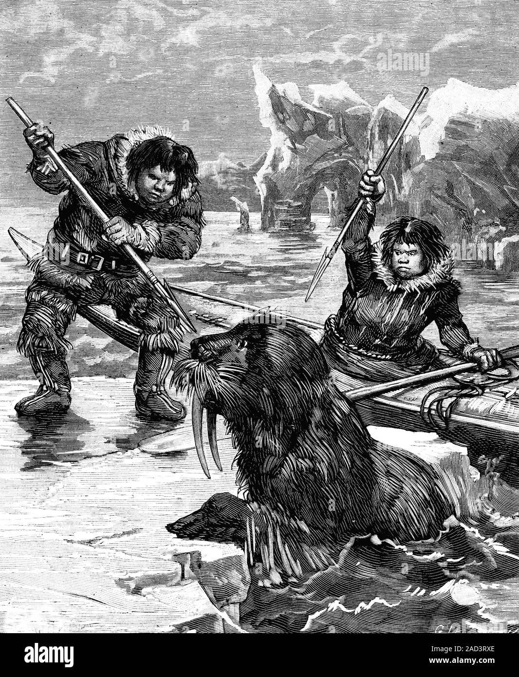 19th century Eskimos hunting. 1885 illustration of Eskimo men hunting a ...