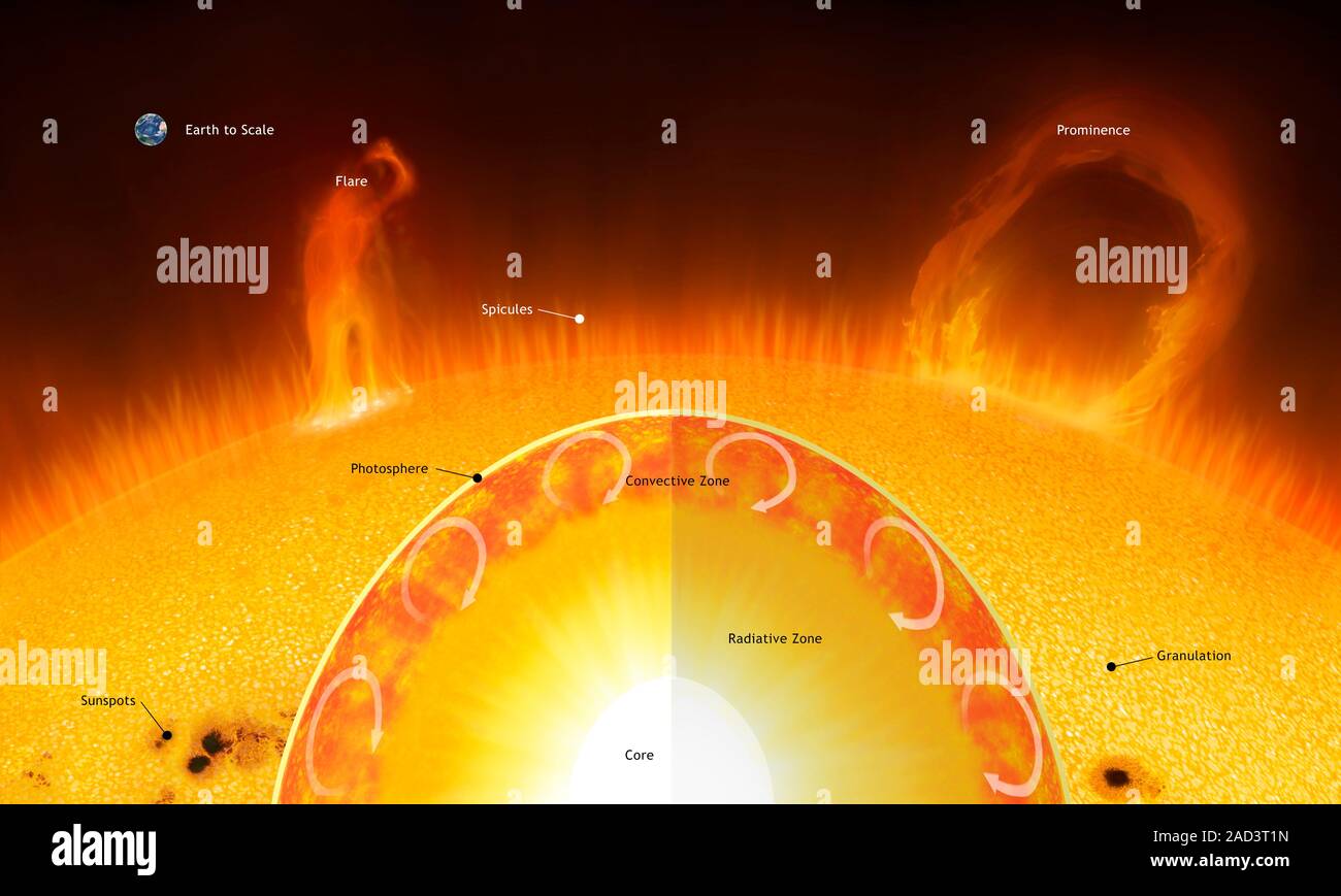 Schematic illustration showing the surface features and internal ...