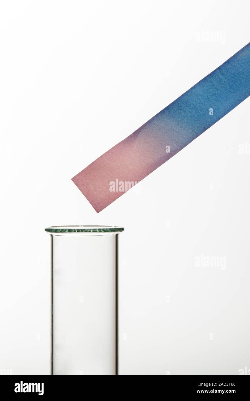 Positive cobalt chloride test for water. The blue cobalt chloride test ...