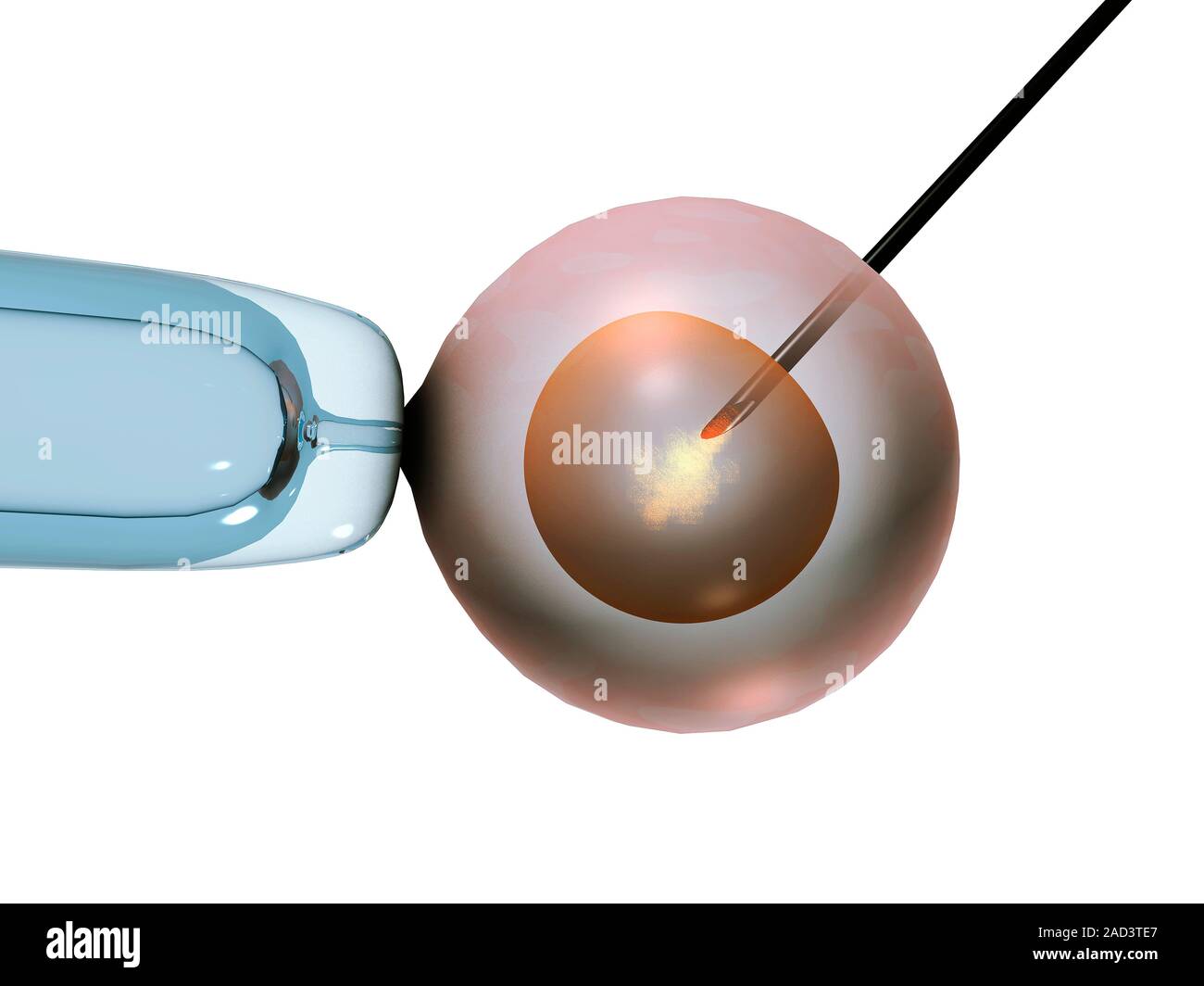 Genetic modification, conceptual image. Computer illustration ...