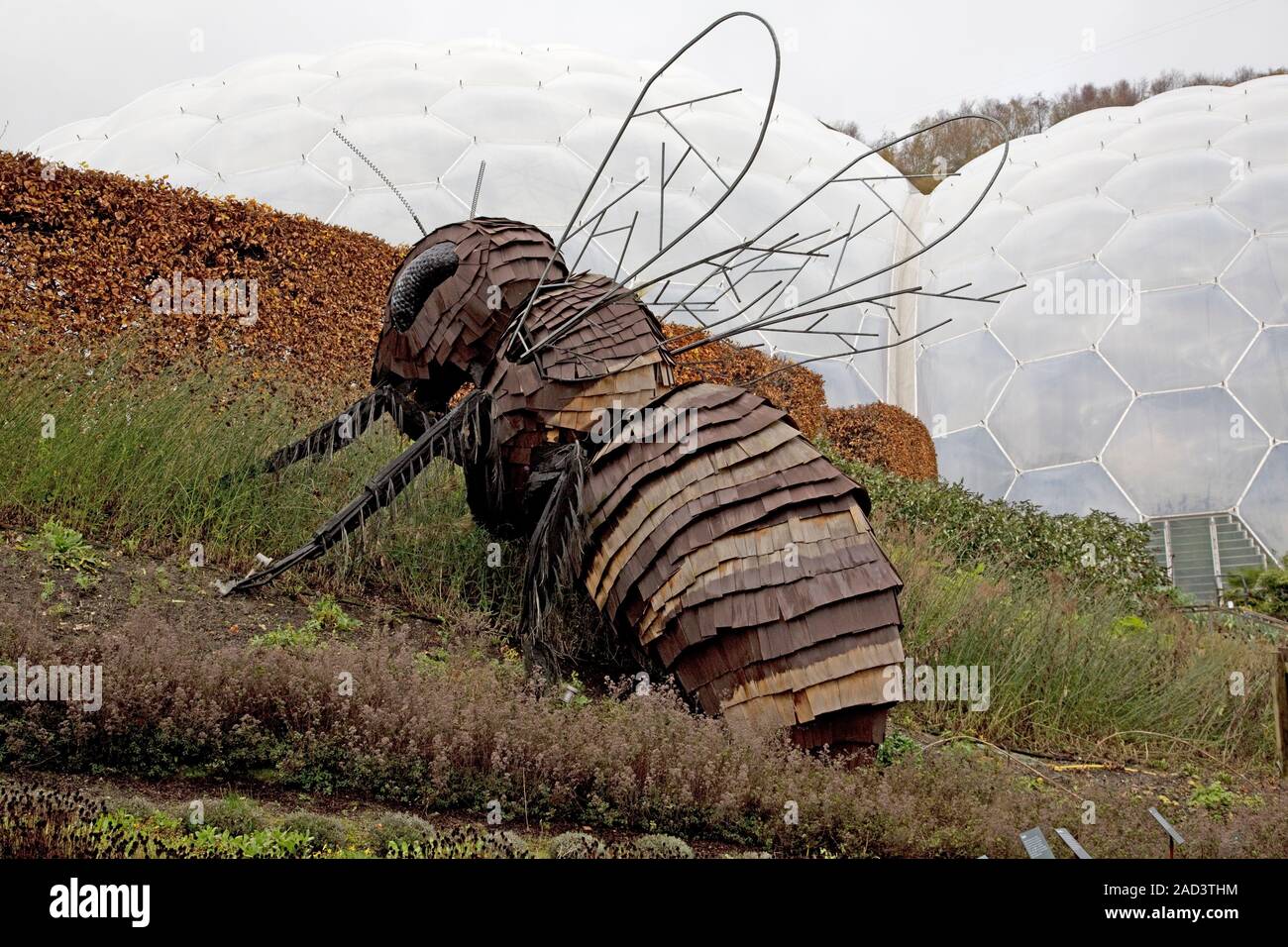 Giant bee model; with biodomes behind, Eden Project, Cornwall, UK Stock ...