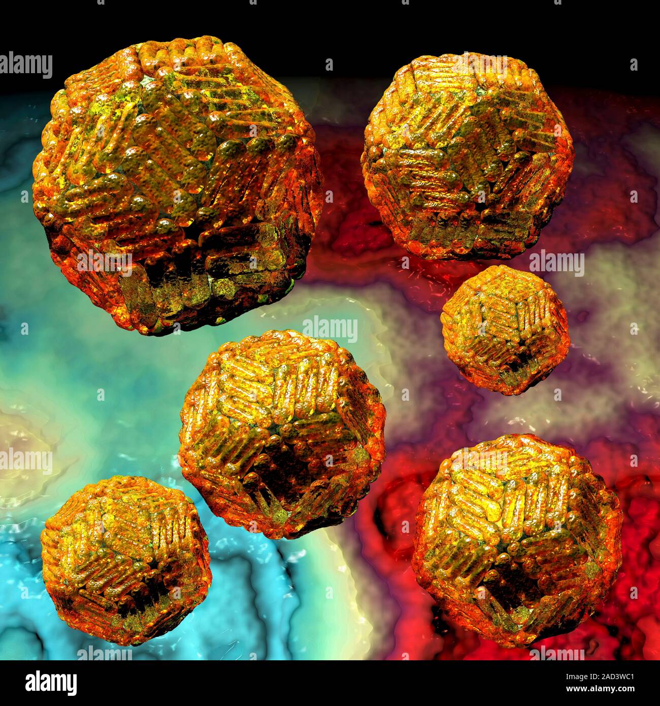 This image may not be used in educational posters Zika virus particles ...