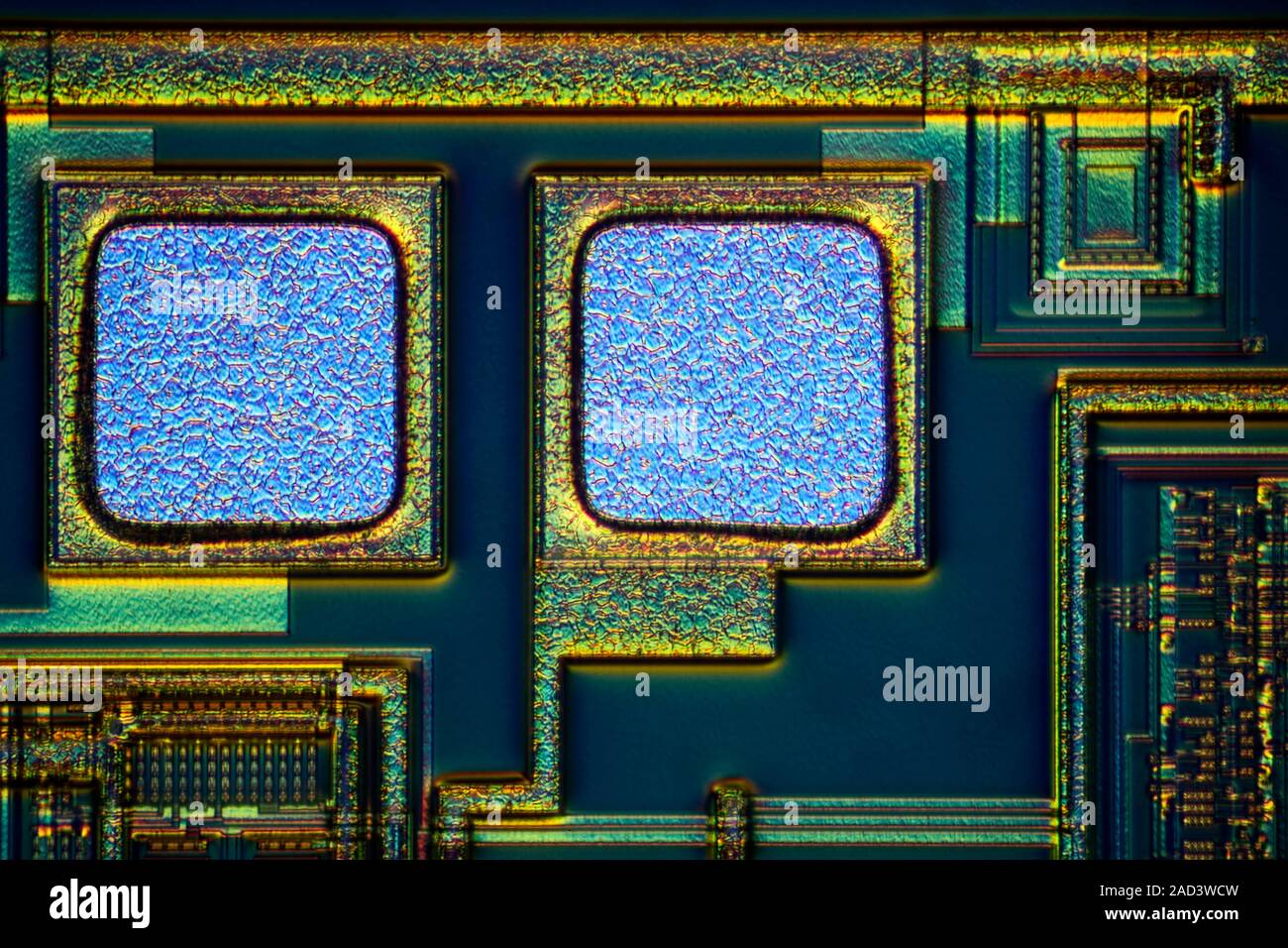 Microchip surface. Differential interference contrast (DIC) light ...