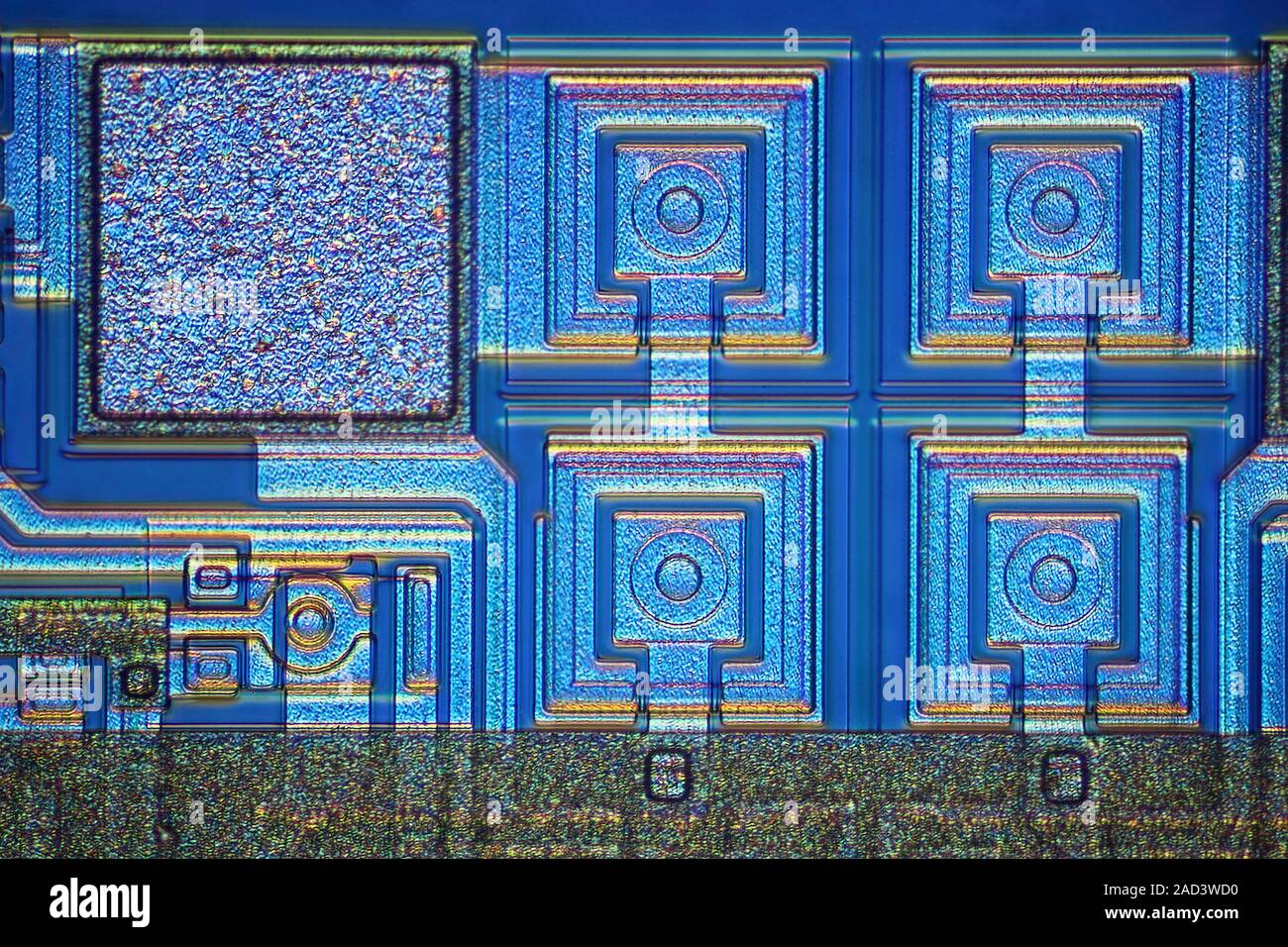 Microchip surface. Differential interference contrast (DIC) light ...