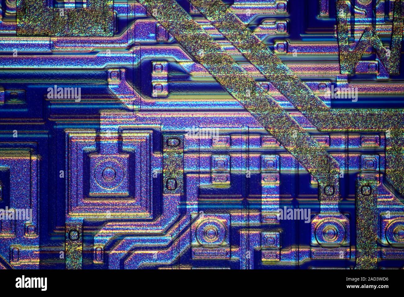 Microchip surface. Differential interference contrast (DIC) light ...