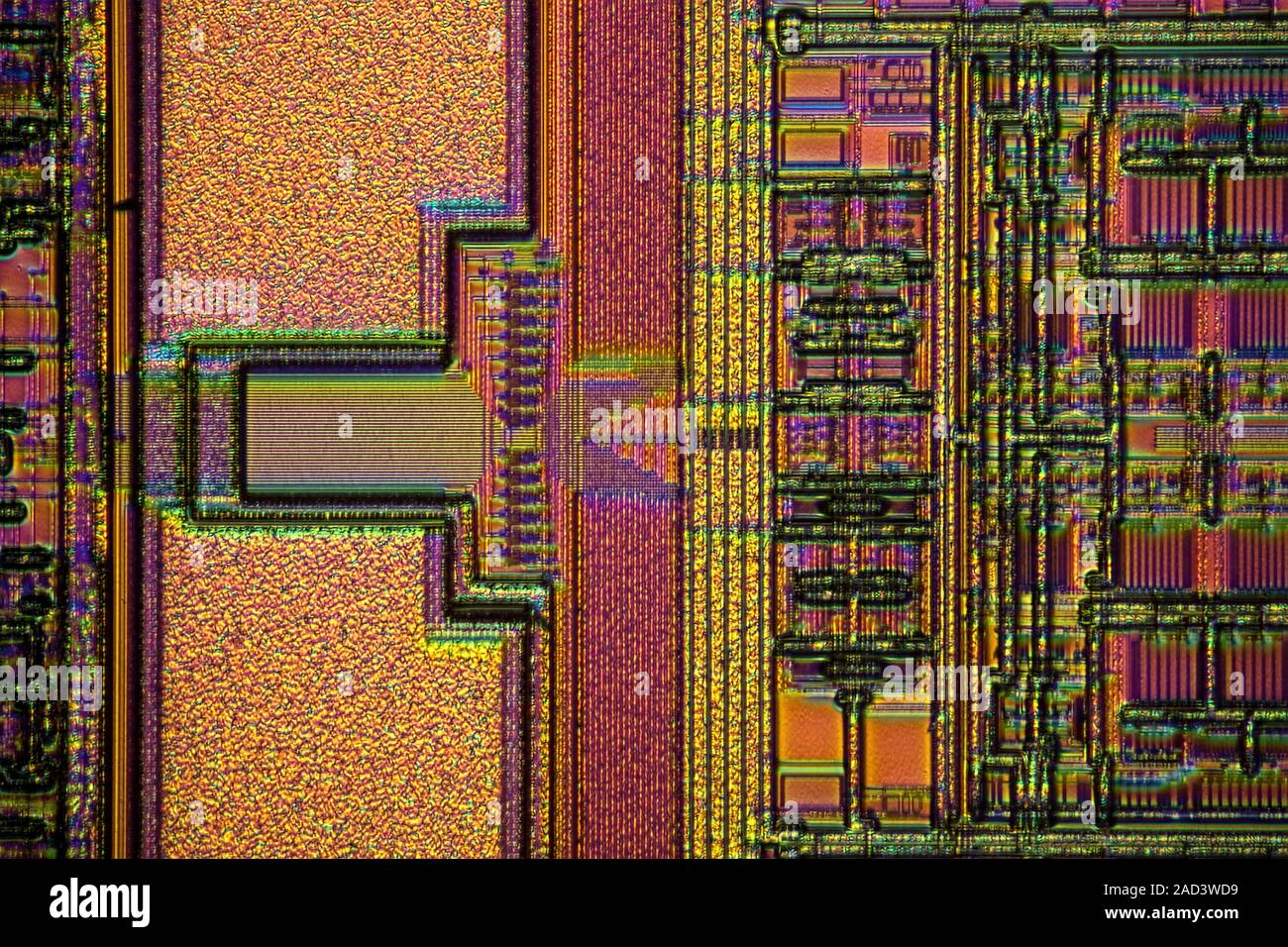 Microchip surface. Differential interference contrast (DIC) light ...