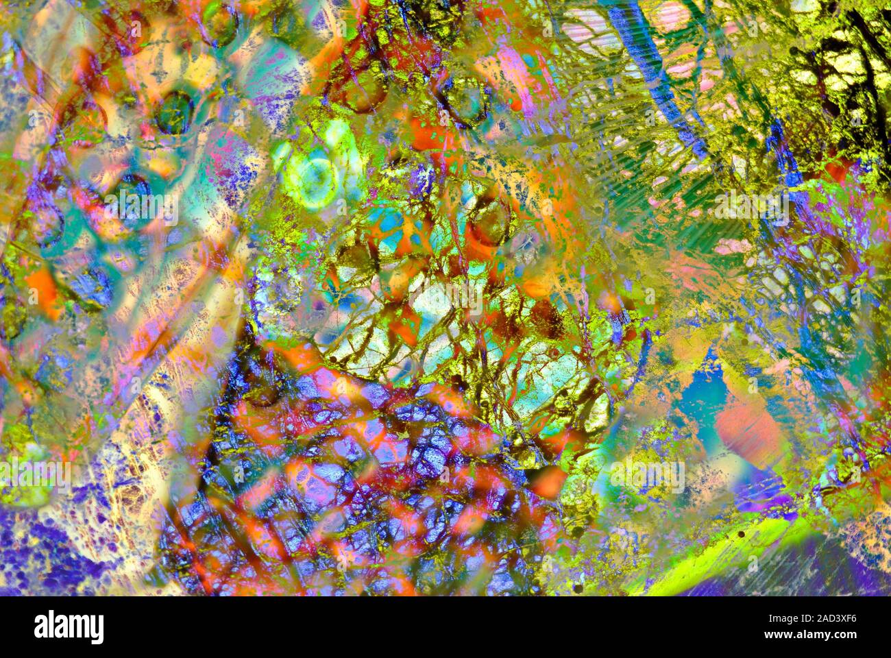 Abstract image produced from merged polarised light images of ...