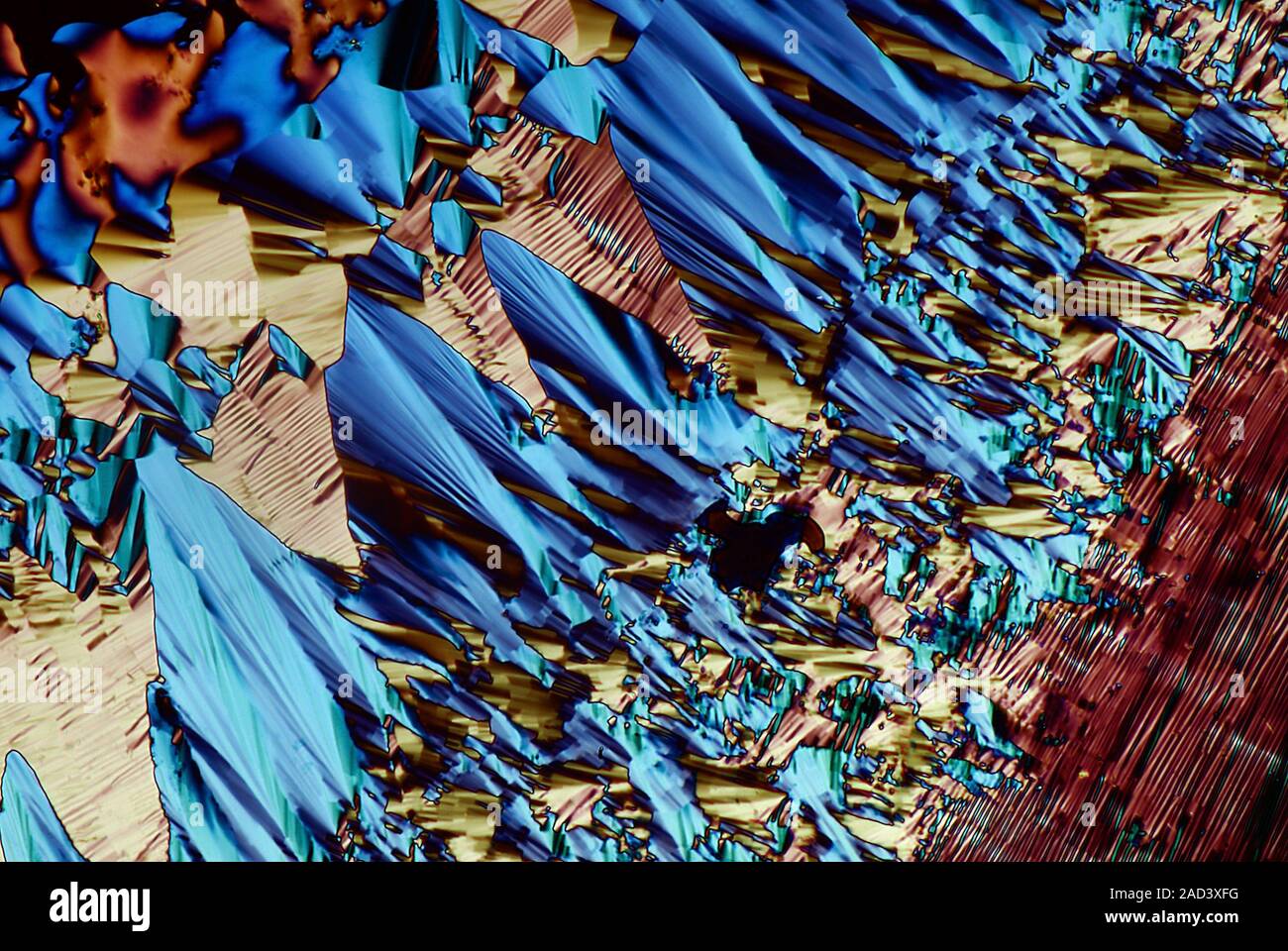 Polarised light micrograph of crystals of folic acid, also known as ...
