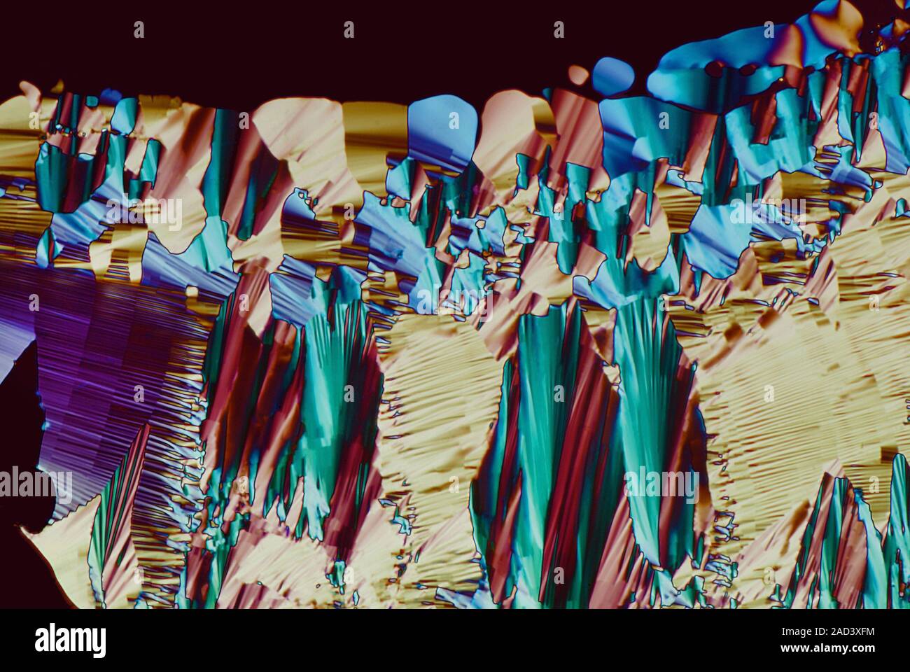 Polarised light micrograph of crystals of folic acid, also known as ...