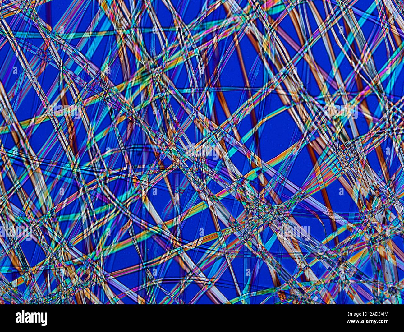 Polarised light micrograph of silk from the Chinese silk worm (Bombyx ...