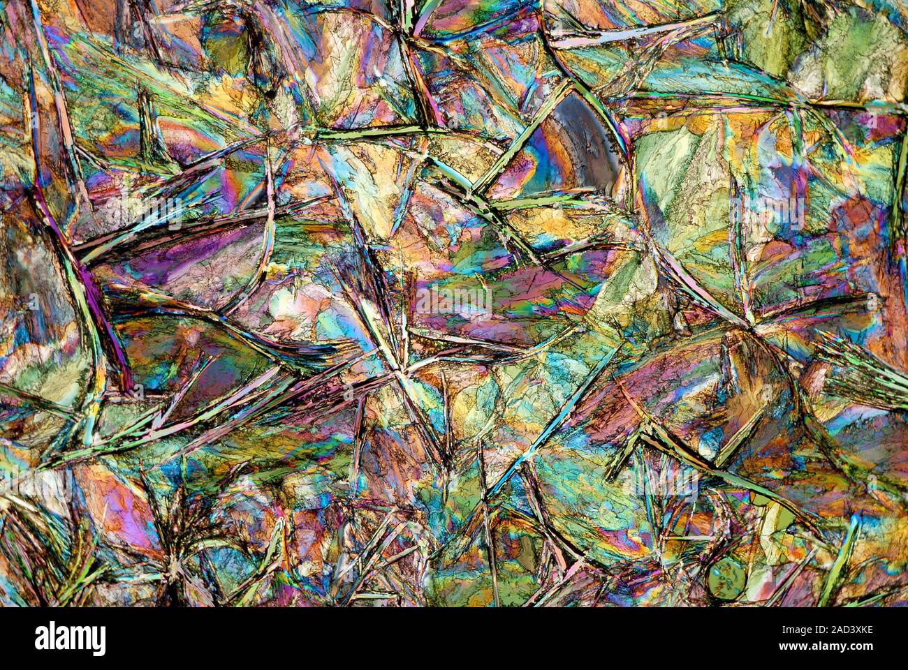 Polarised light micrograph of stearin, C57H110O6, also known as ...