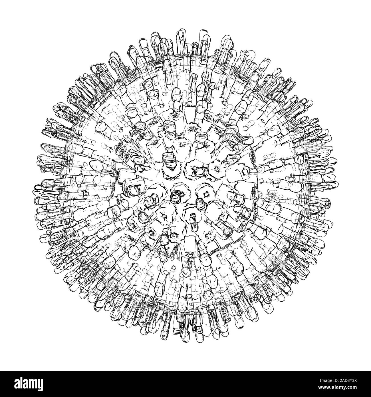 This image may not be used in educational posters Herpes virus ...