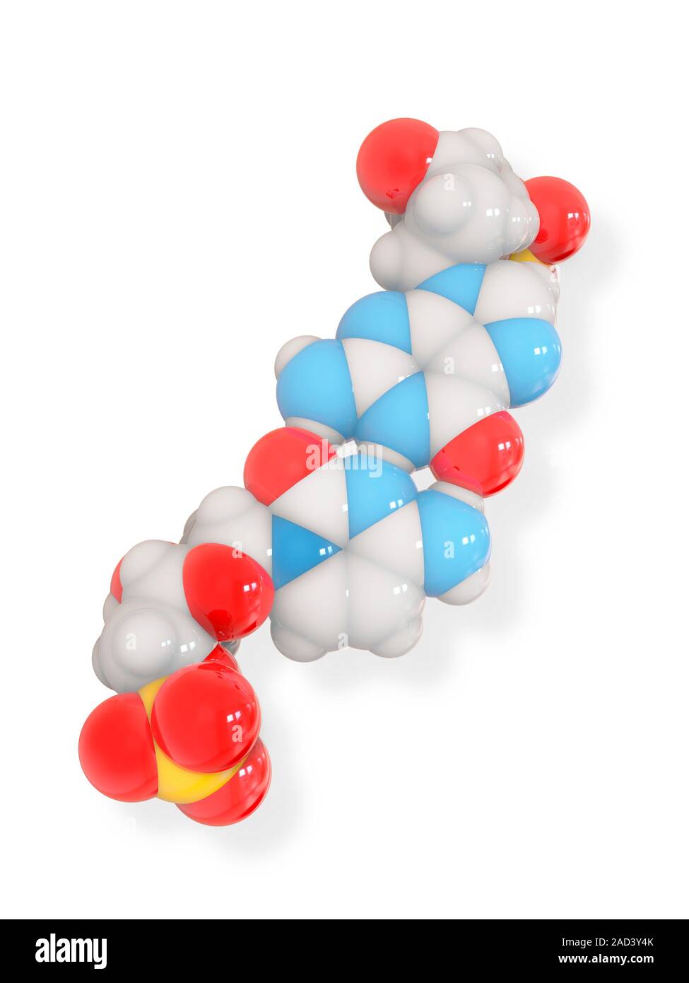 Cytosine Guanine Dna Base Pair Illustration Of A Molecular Model Of The Bonding Of Cytosine