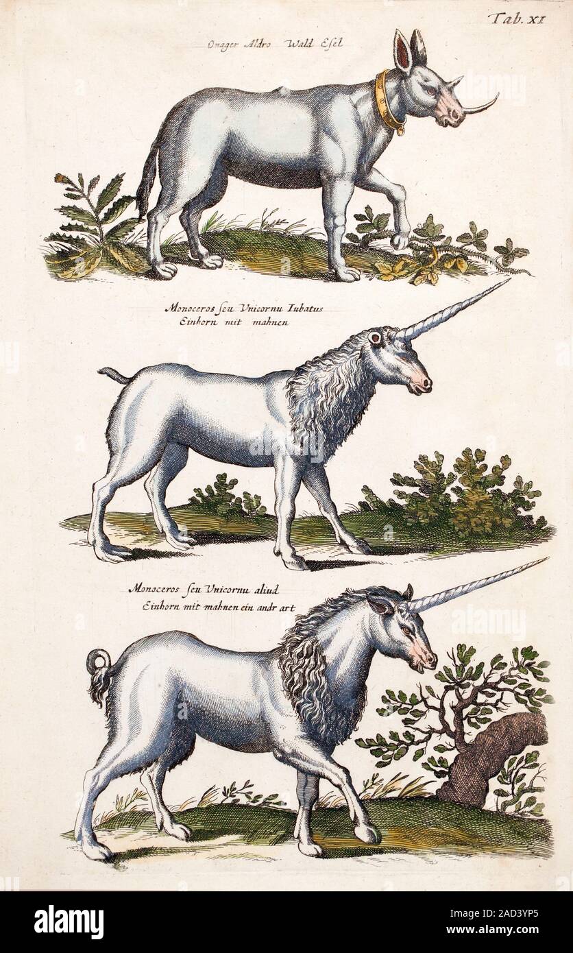 Mythical horned beasts, 17th century. Illustration of a mythical two ...