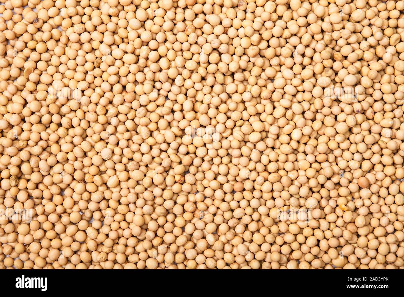 Soybeans background. Soya seed texture Stock Photo - Alamy