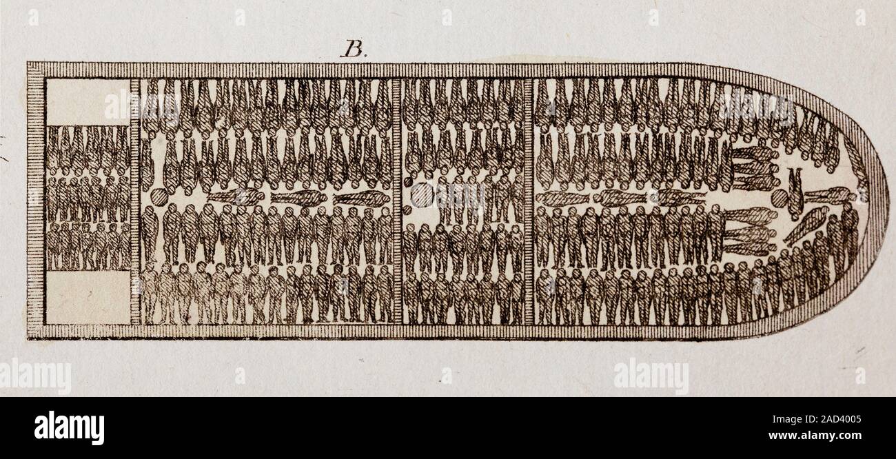 Slave ship diagram, 19th century. Owners of the ships divided their ...