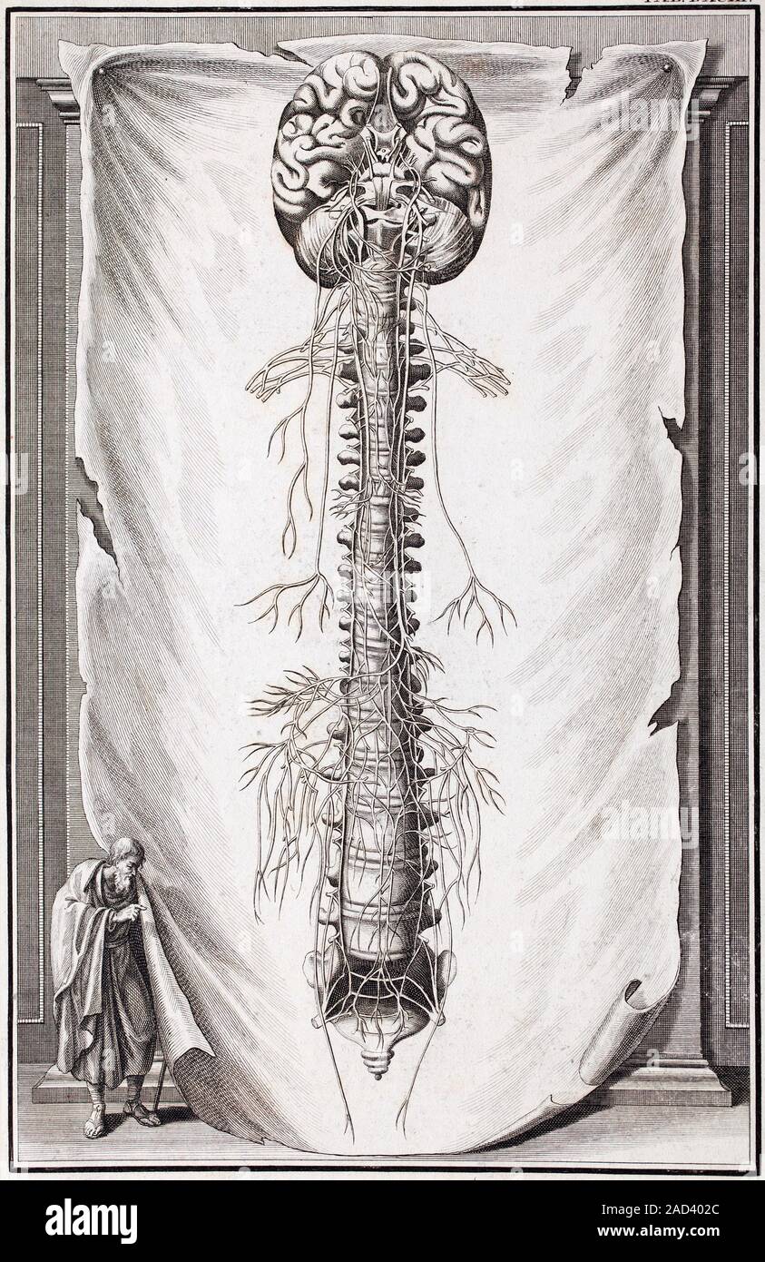 1731 Physica Sacra (Sacred Physics) by Johann Scheuchzer (1672-1733 ...