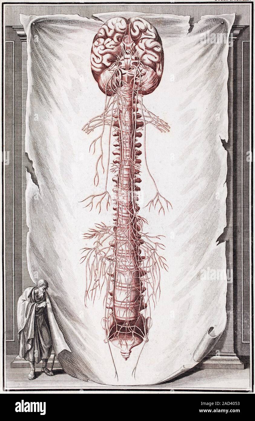 1731 Physica Sacra (Sacred Physics) by Johann Scheuchzer (1672-1733 ...