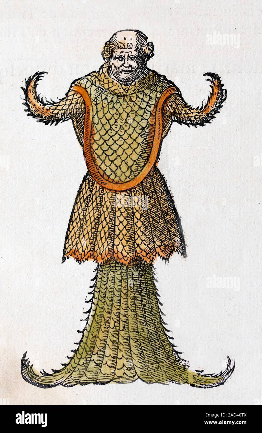 Sea Monk from Guillaume Rondelet's Libri de Piscibus Marinis (Book of ...