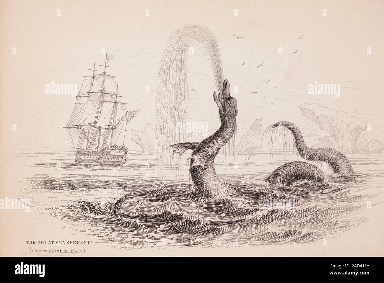 Copperplate engraving of Egede's great sea monster. The Naturalist's ...