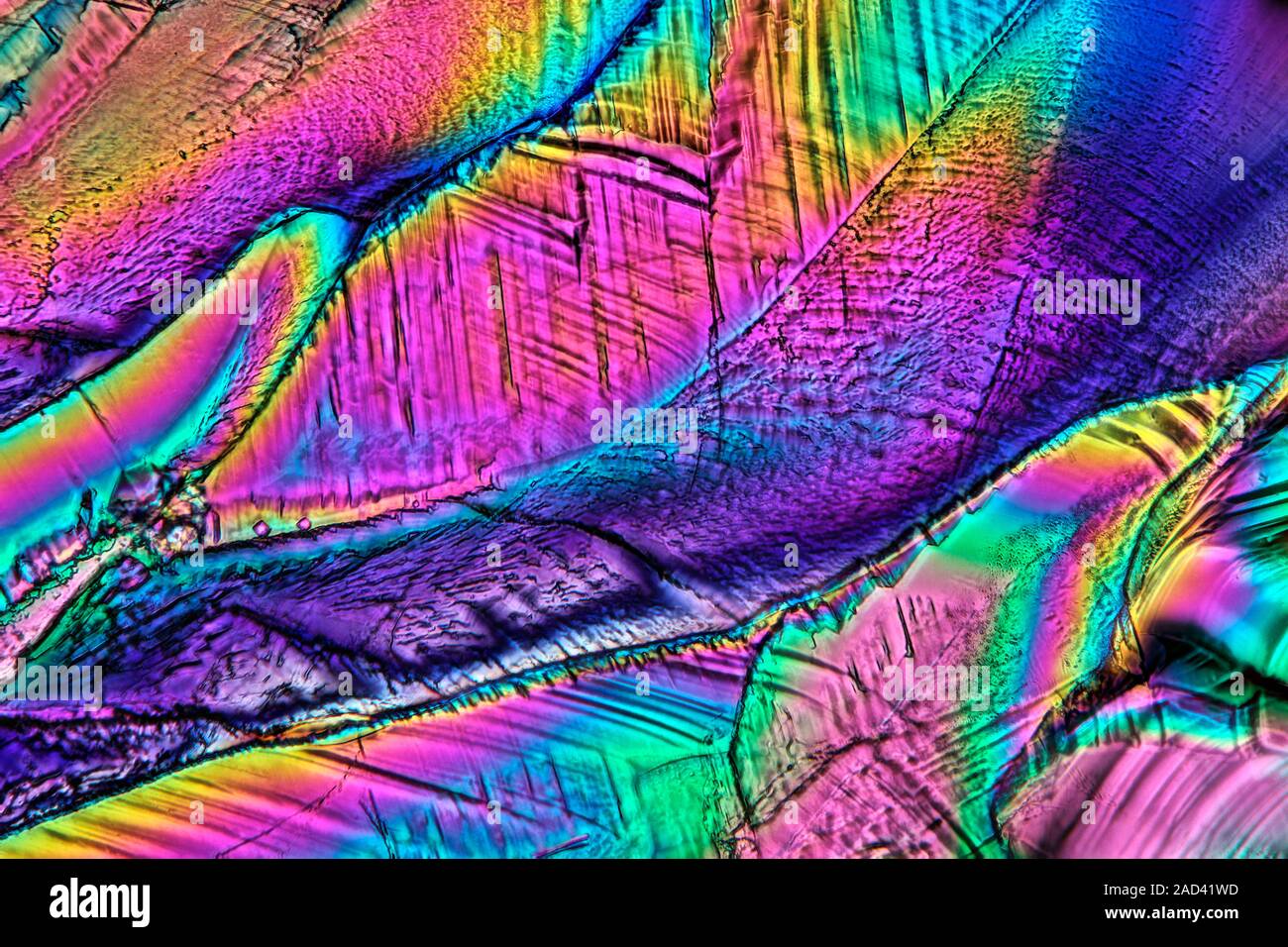 Citric acid crystals. Polarized light micrograph of a section through ...