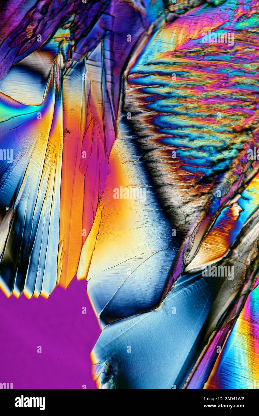 Citric acid crystals. Polarized light micrograph of a section through ...