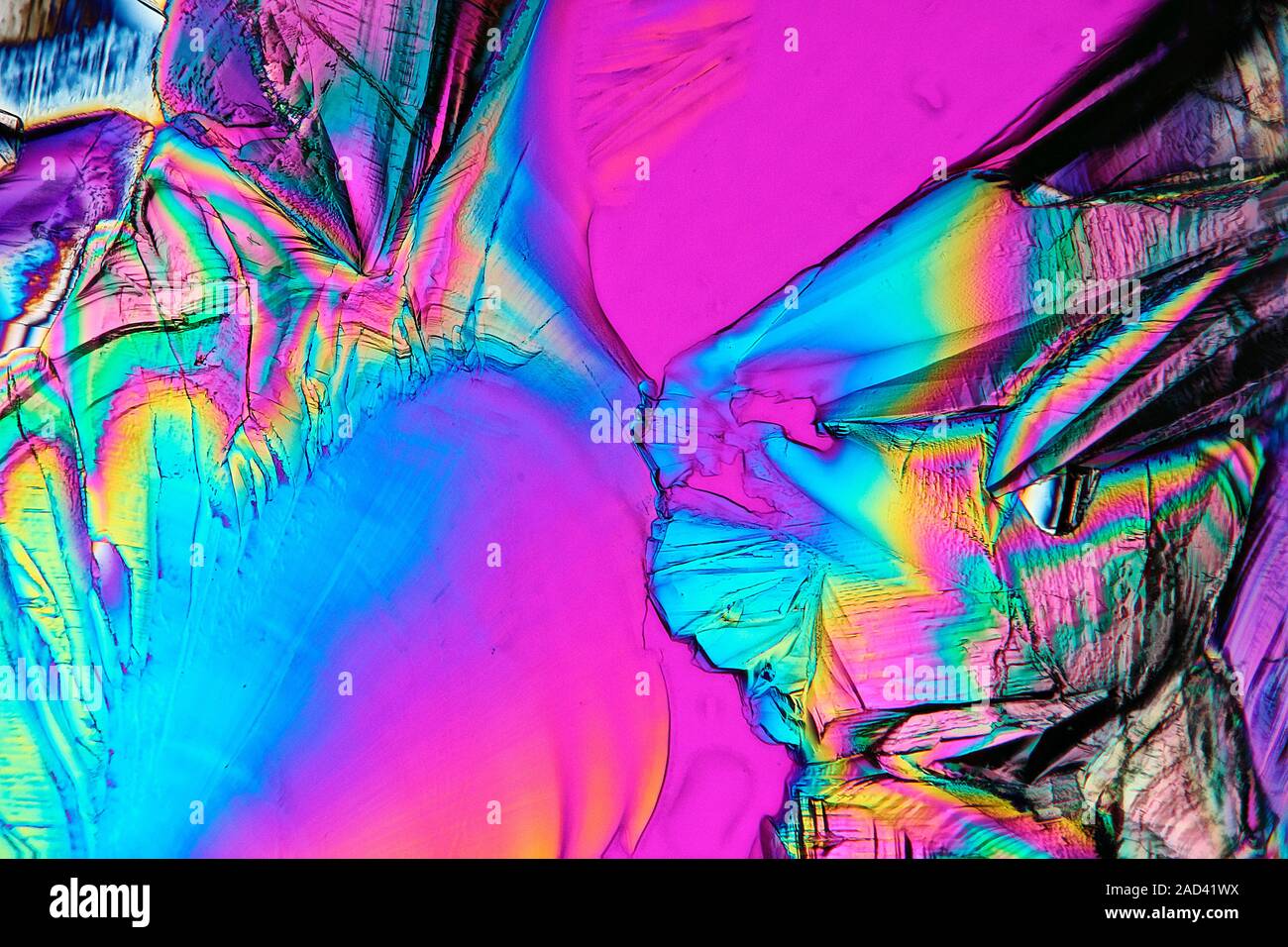 Citric acid crystals. Polarized light micrograph of a section through ...