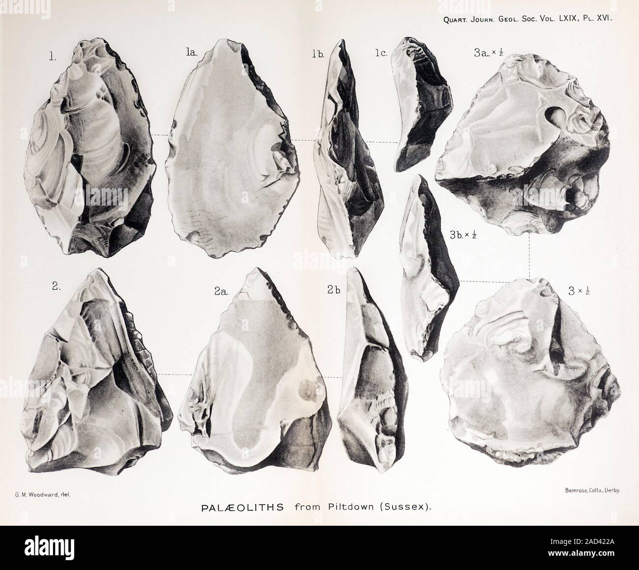 Palaeoliths Plate from drawing by Woodward in: Dawson, C. & Woodward, A ...