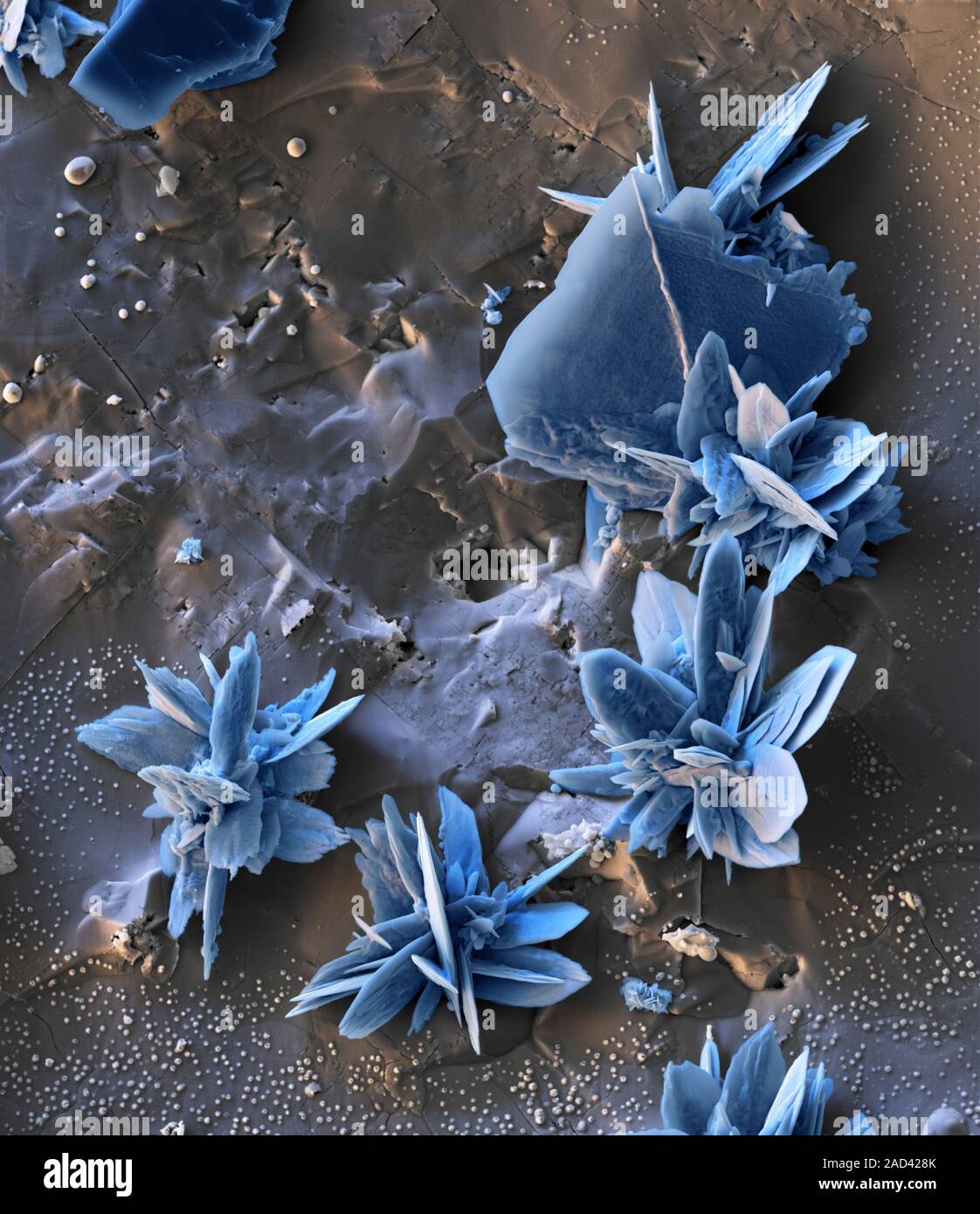 Barite crystals, coloured scanning electron micrograph (SEM). Barite ...