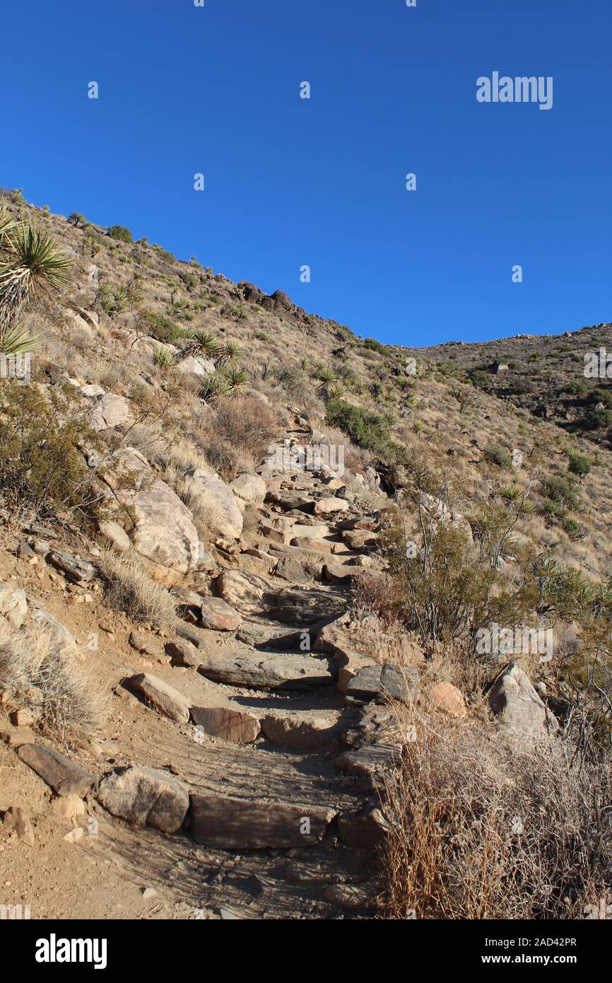 The Little San Bernardino Range contains Ryan Mountain Trail, and ...