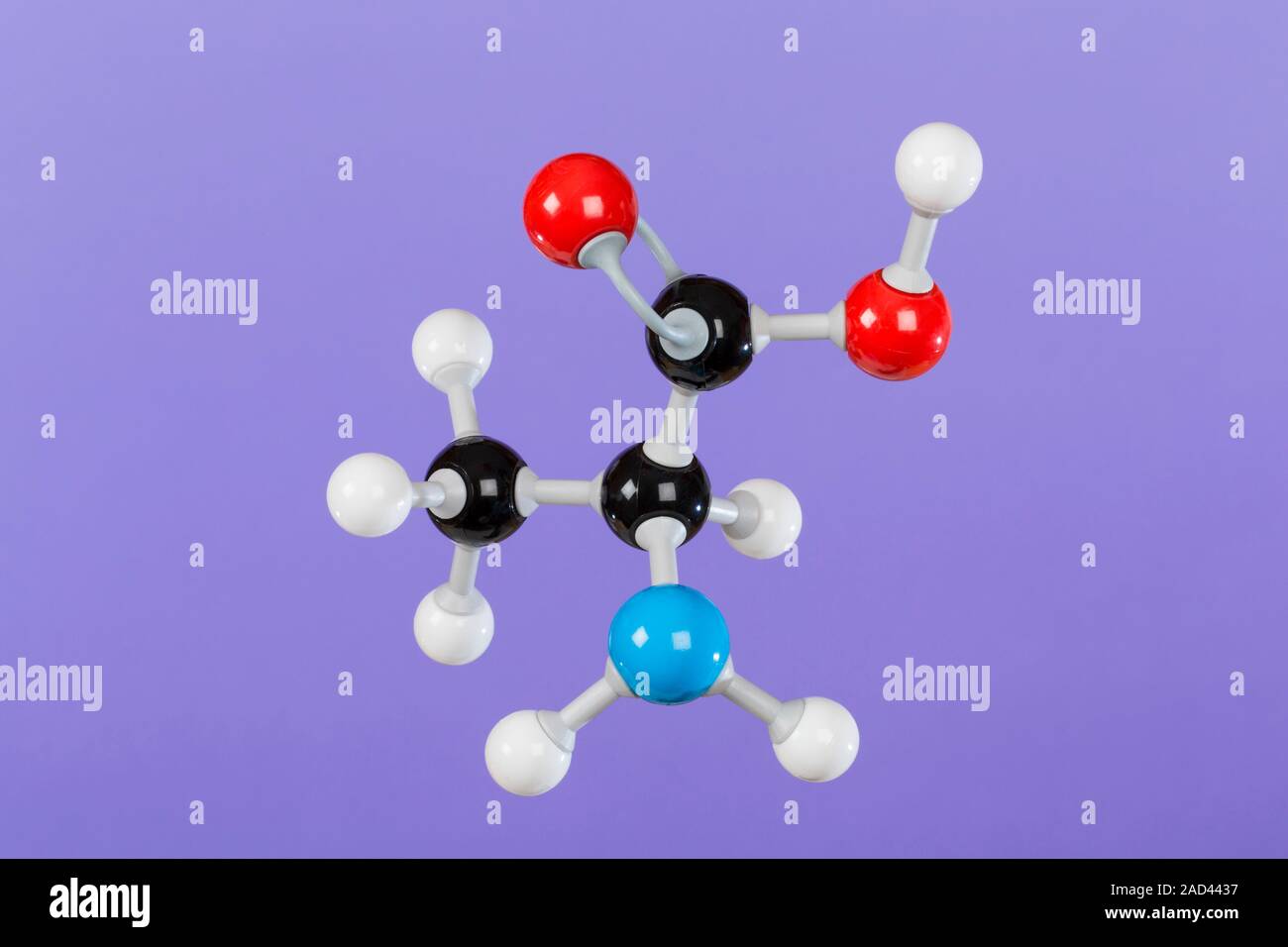 L-(+) alanine molecule, ball and stick molecular model. The L ...