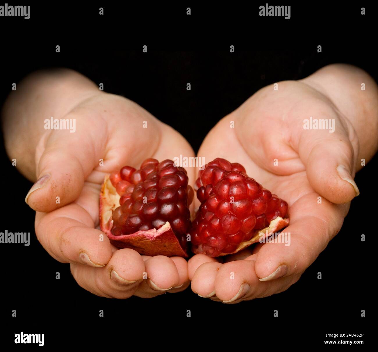 pomegranate in hand isolated on white background Stock Photo - Alamy